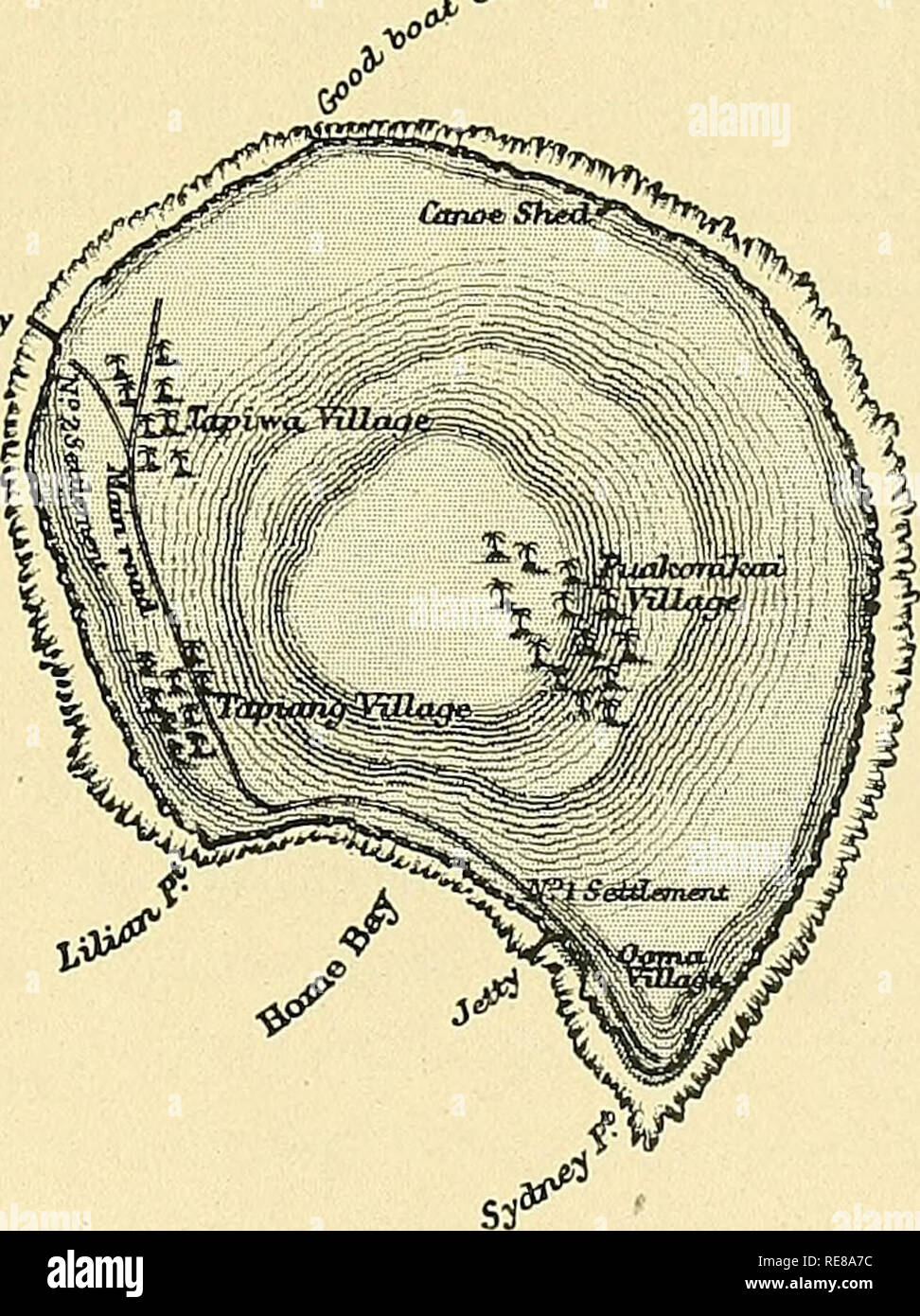Life Of Pi Island Shape