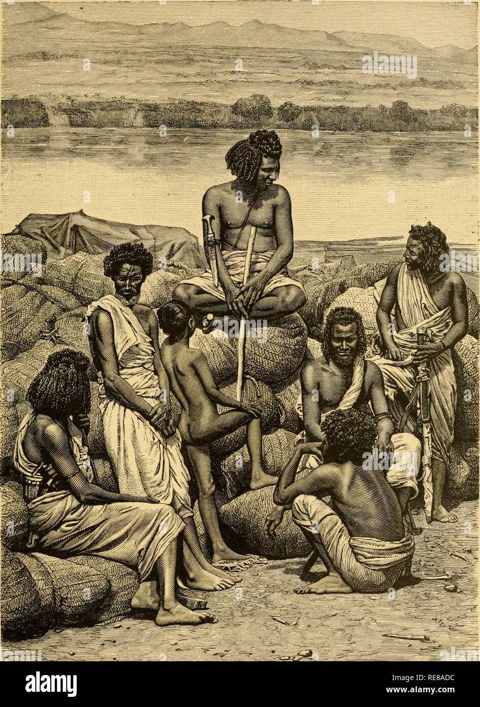 Bishari hi-res stock photography and images - Alamy