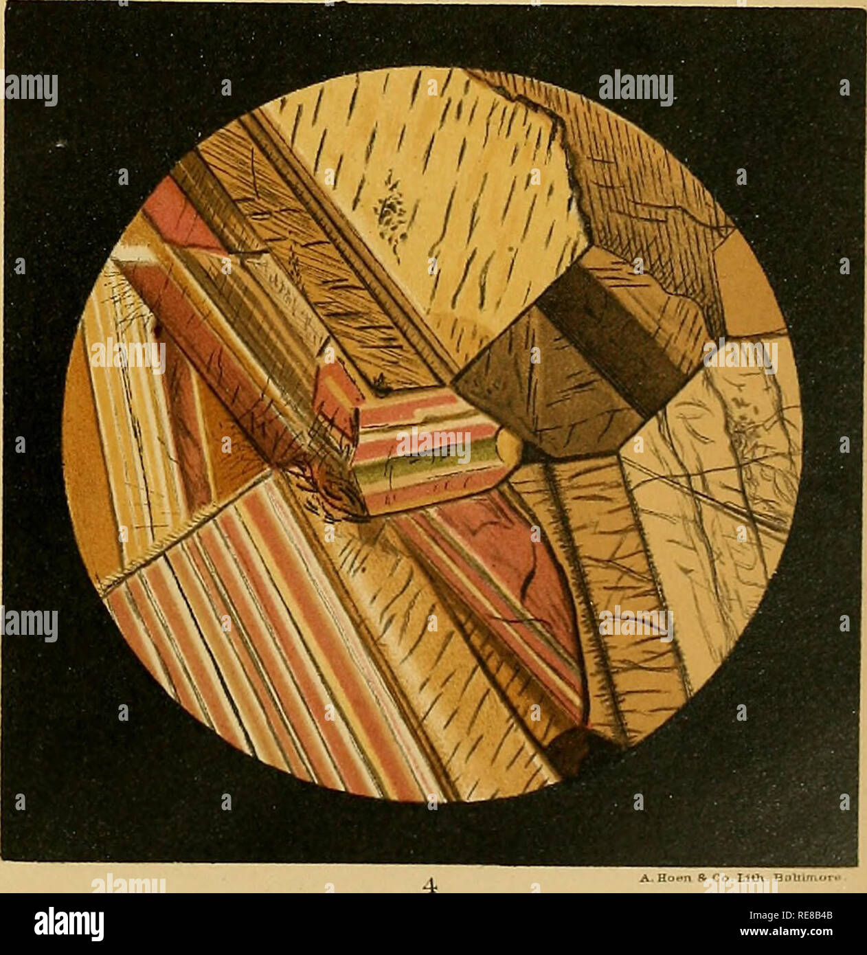 Rock duer hi-res stock photography and images - Alamy