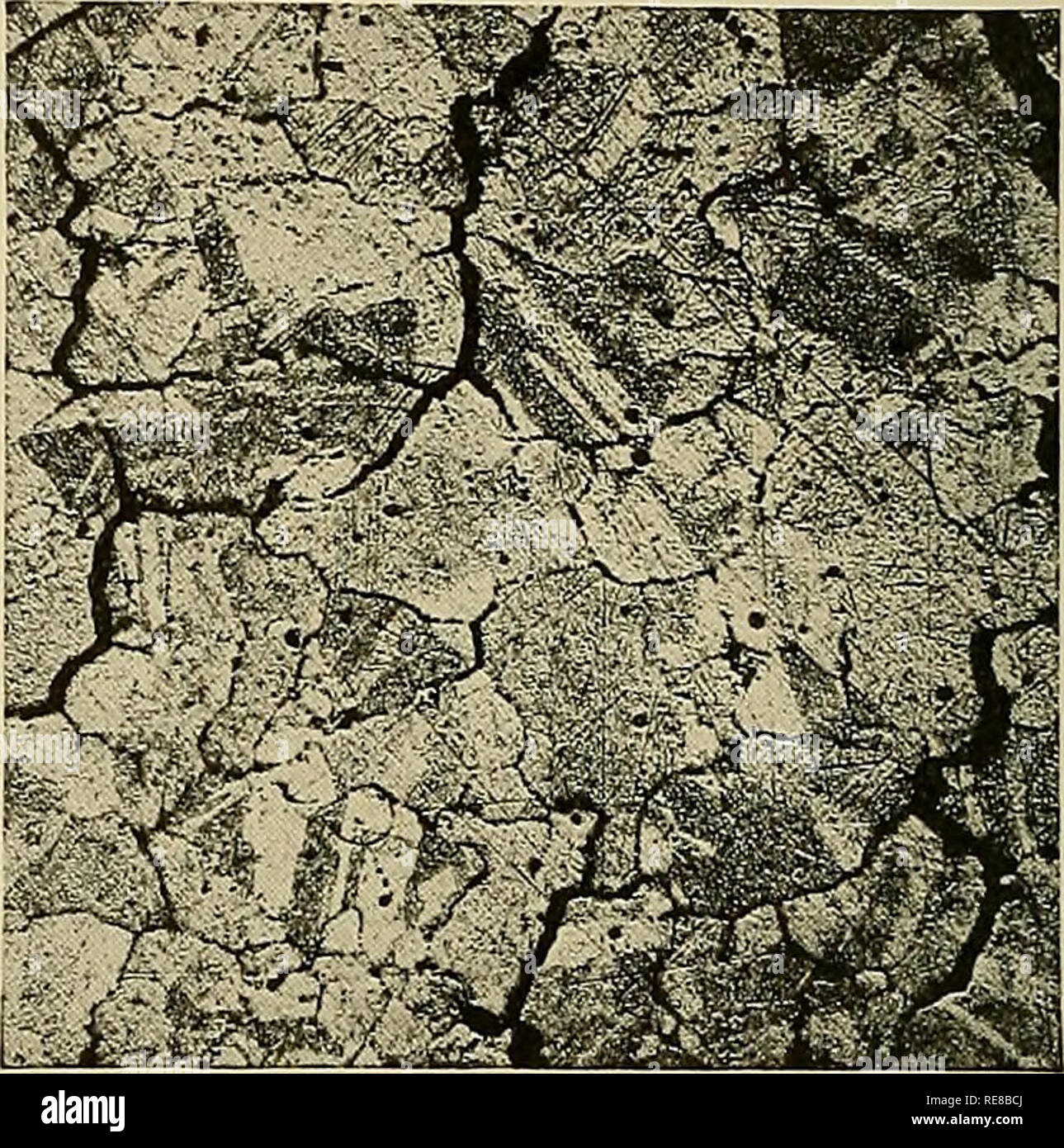 . Copper and copper base alloys : the physical and mechanical ...