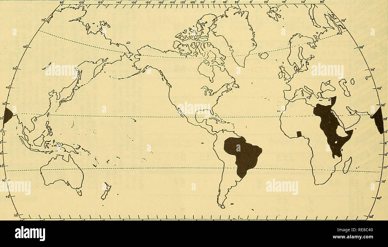 Retithrips hi-res stock photography and images - Alamy