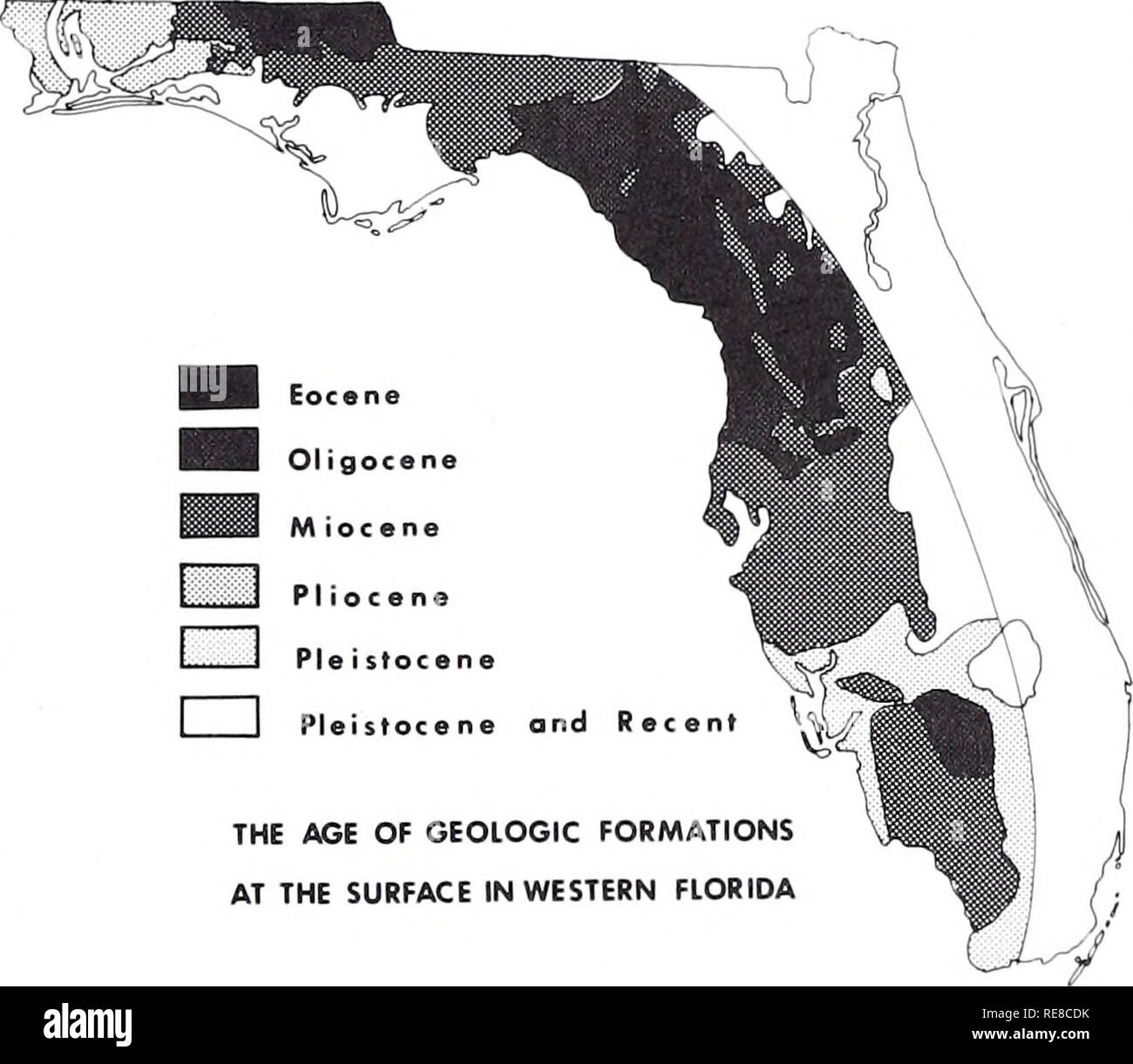 . Cooperative Gulf of Mexico estuarine inventory and study, Florida / J ...