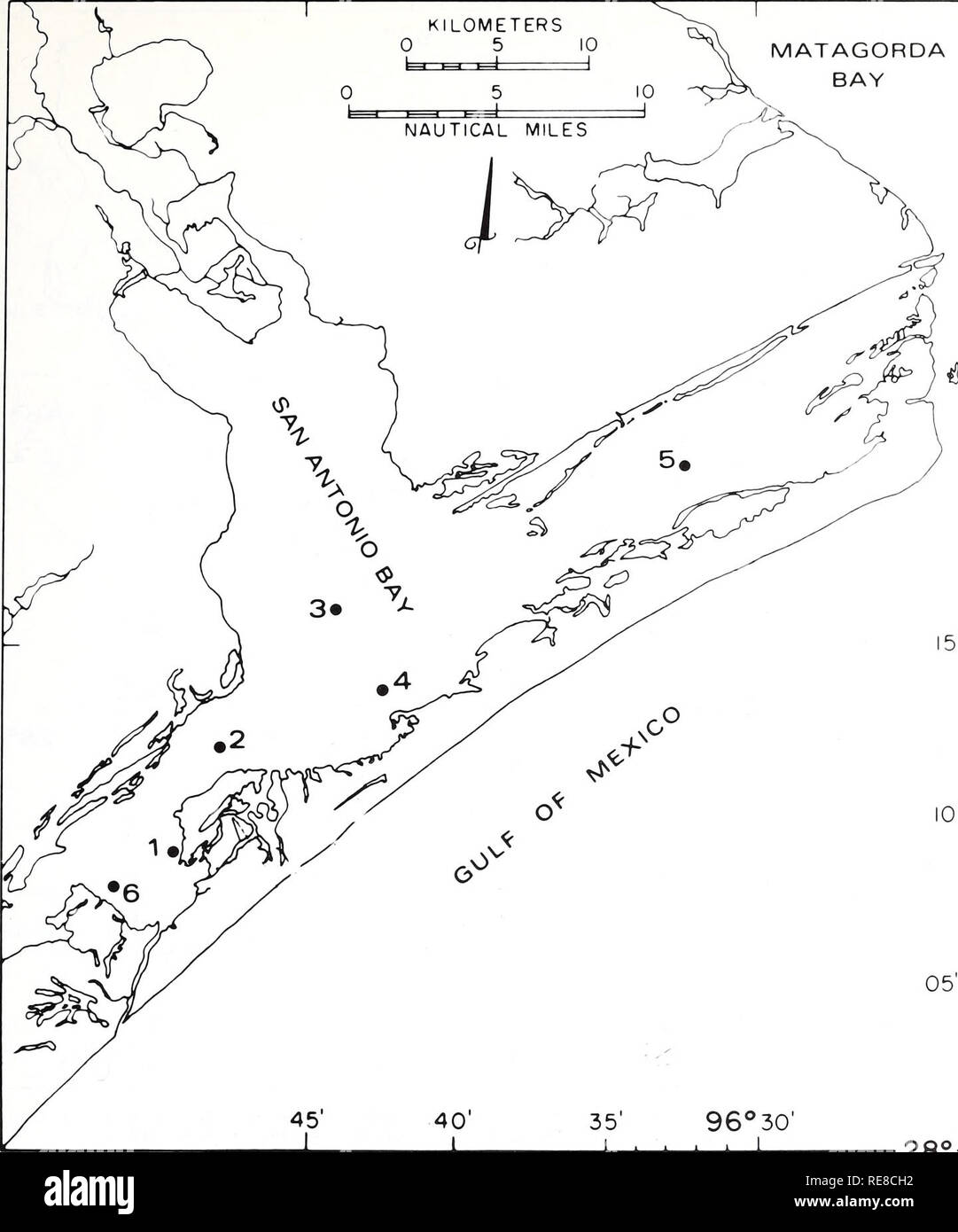 Artificial reefs gulf of mexico hi-res stock photography and images - Alamy