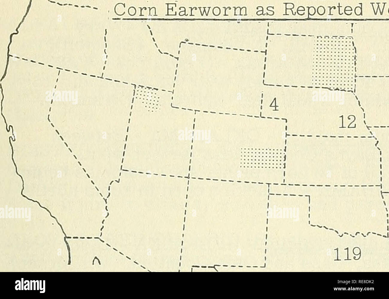 Corn Earworm Moths High Resolution Stock Photography and Images - Alamy