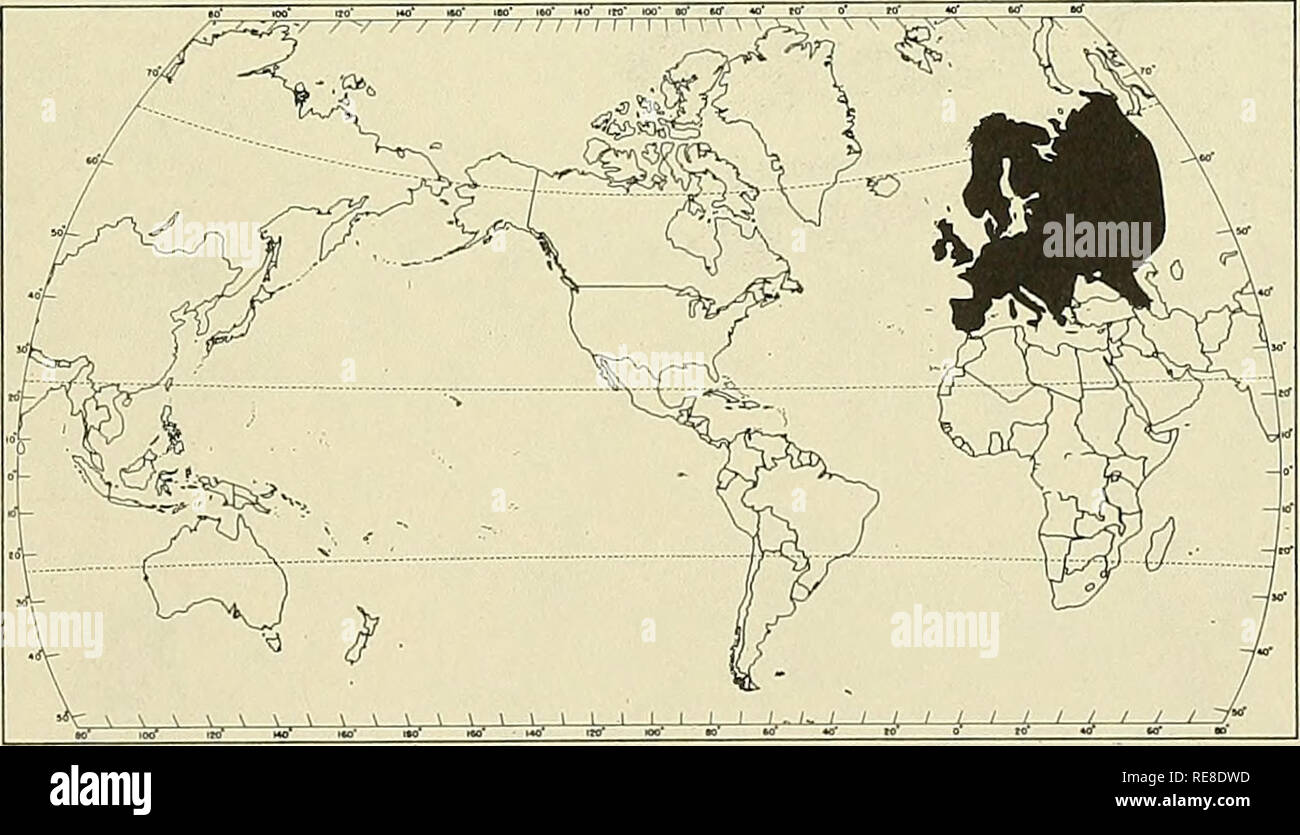 Thrips pea hi-res stock photography and images - Alamy