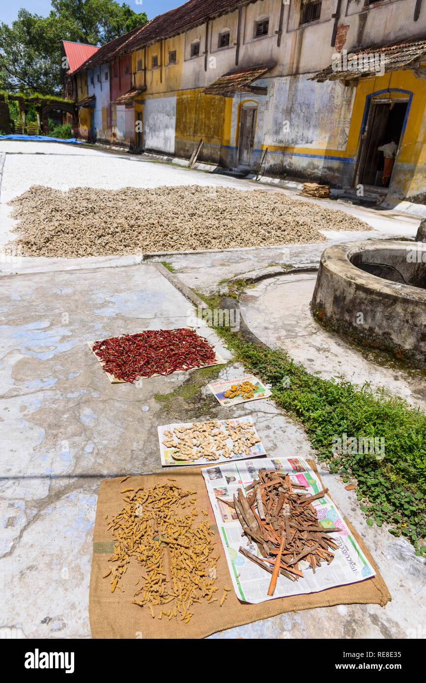 Kochi Spice Market Stock Photos & Kochi Spice Market Stock Images - Alamy