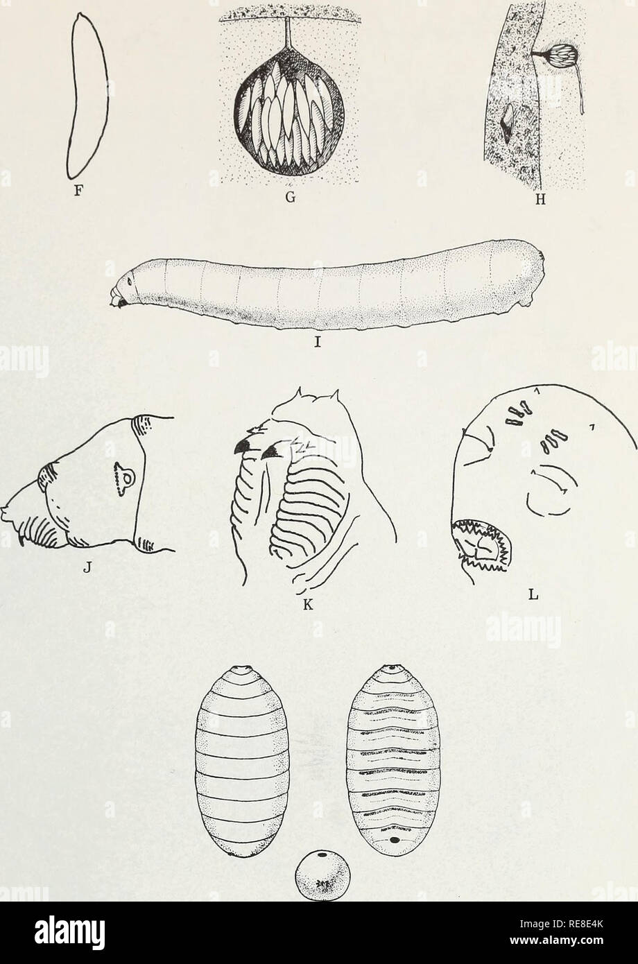 . Cooperative economic insect report. Insect pests Control United ...