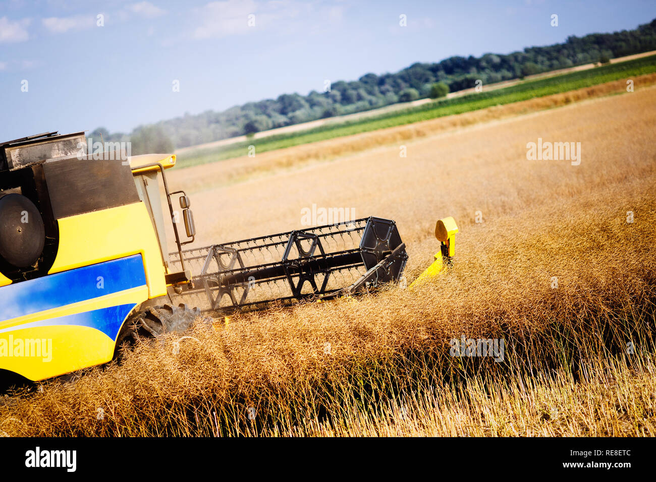 Picture of combine harvester machine harvesting crops Stock Photo - Alamy