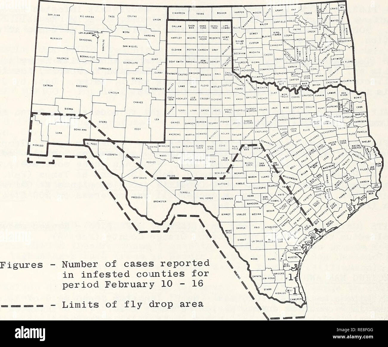 Texas screw worm hi-res stock photography and images - Alamy