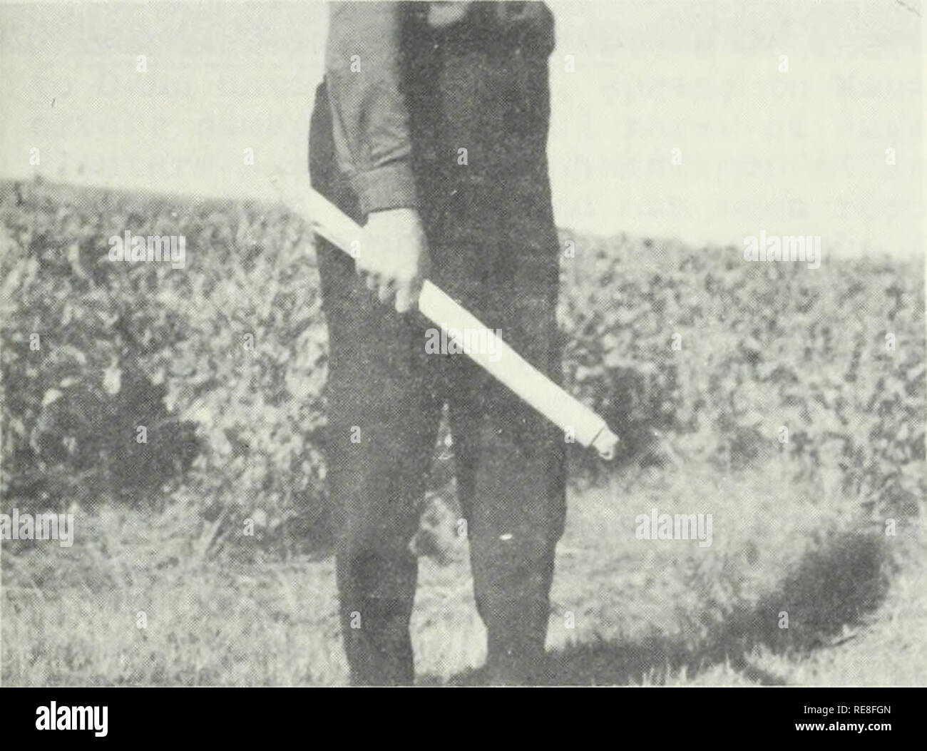 . Cooperative economic insect report. Insect pests Control United ...