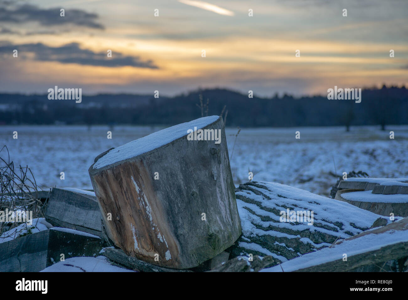 Woodpile for the winter hi-res stock photography and images - Alamy