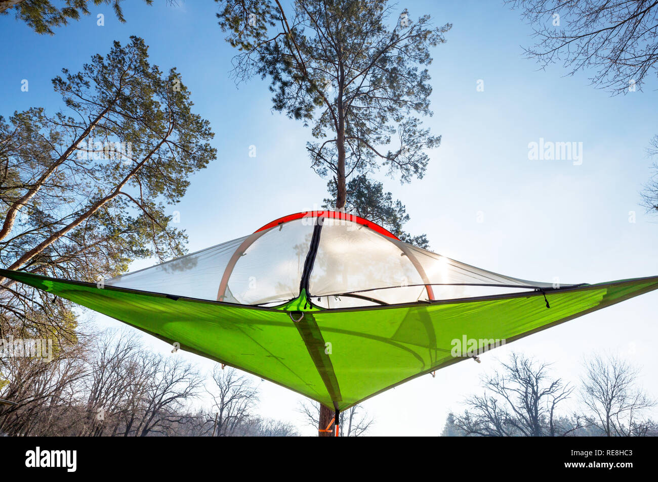 Modern tourist tent hanging between trees in green forest Stock Photo ...