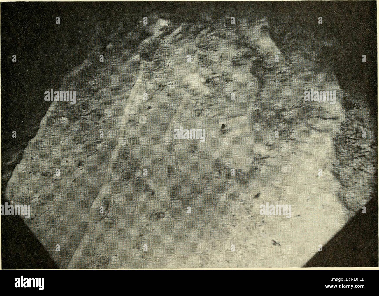 1293 cm hi-res stock photography and images - Alamy