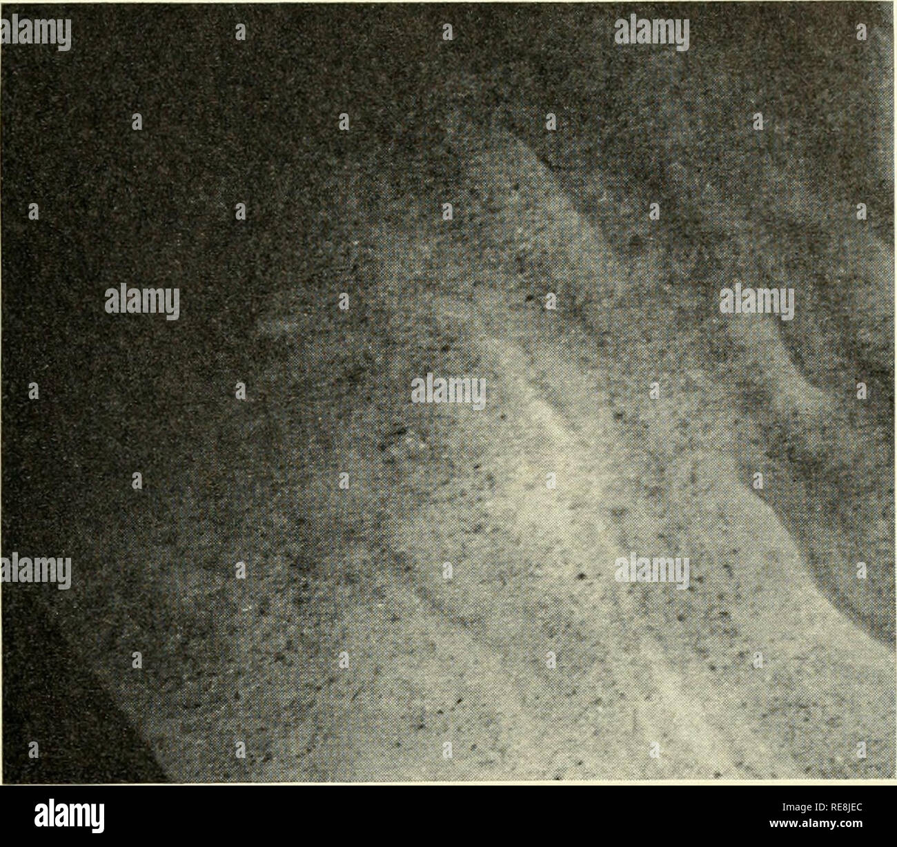 1293 cm hi-res stock photography and images - Alamy