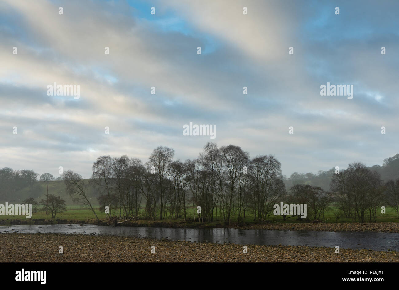 Trees in winter mist Stock Photo - Alamy