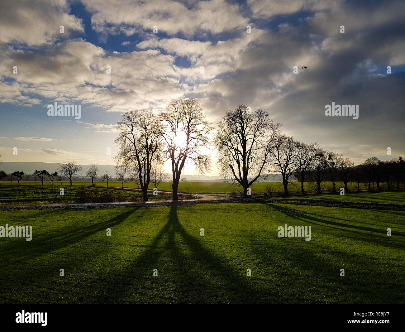 A green field in the front, trees in the middle throwing huge shadows ...