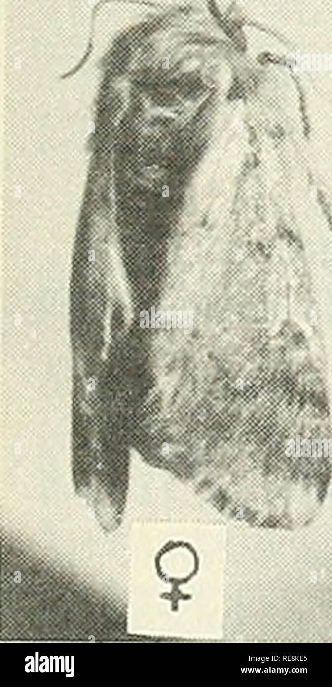 Territorio de texas hi-res stock photography and images - Alamy