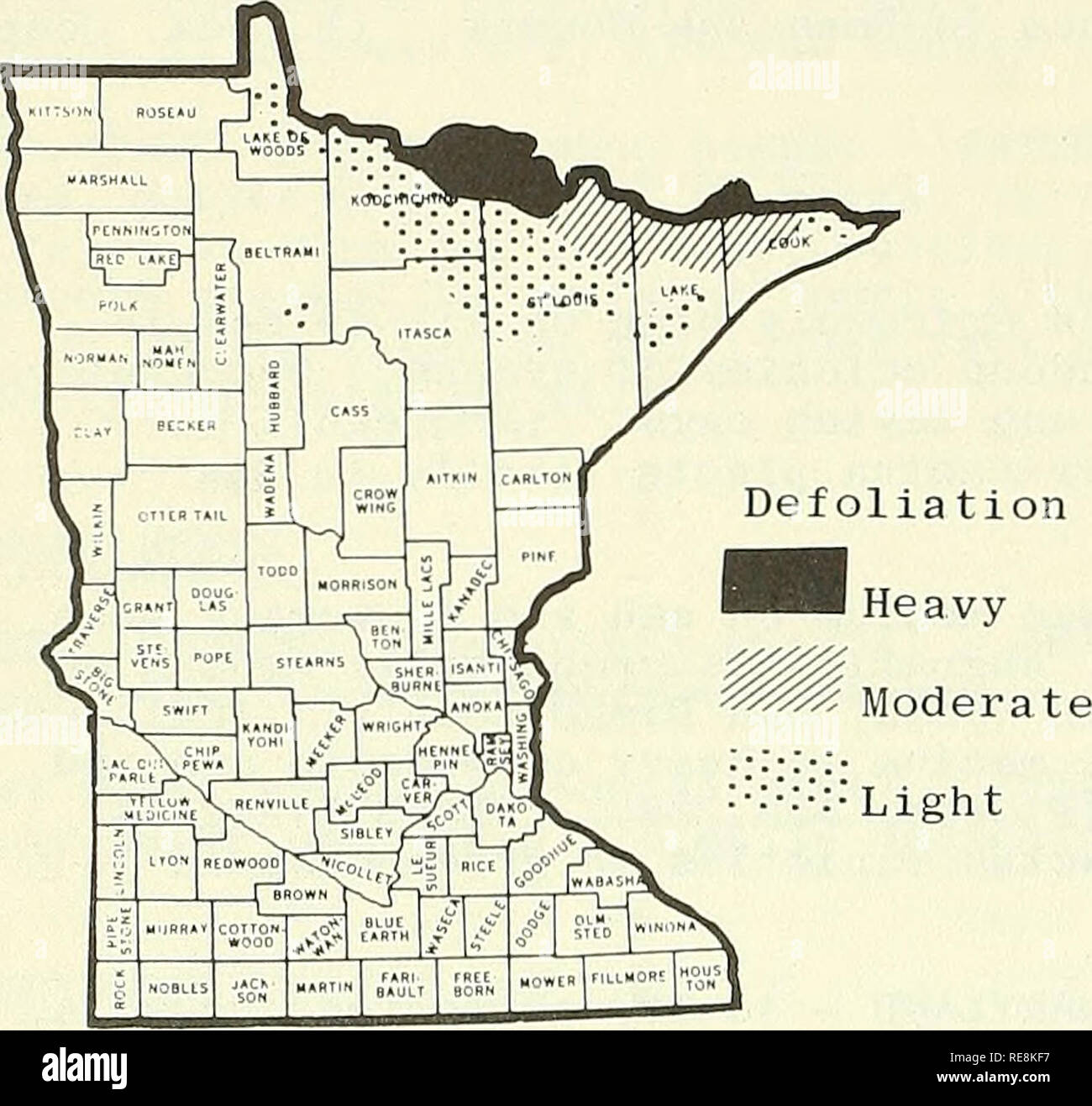 California oakworm phryganidia californica hi-res stock photography and ...
