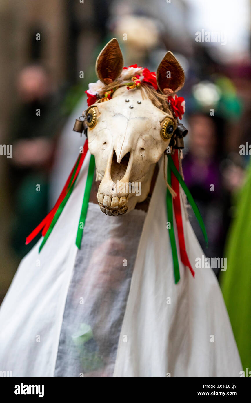 Mari lwyd hi-res stock photography and images - Alamy