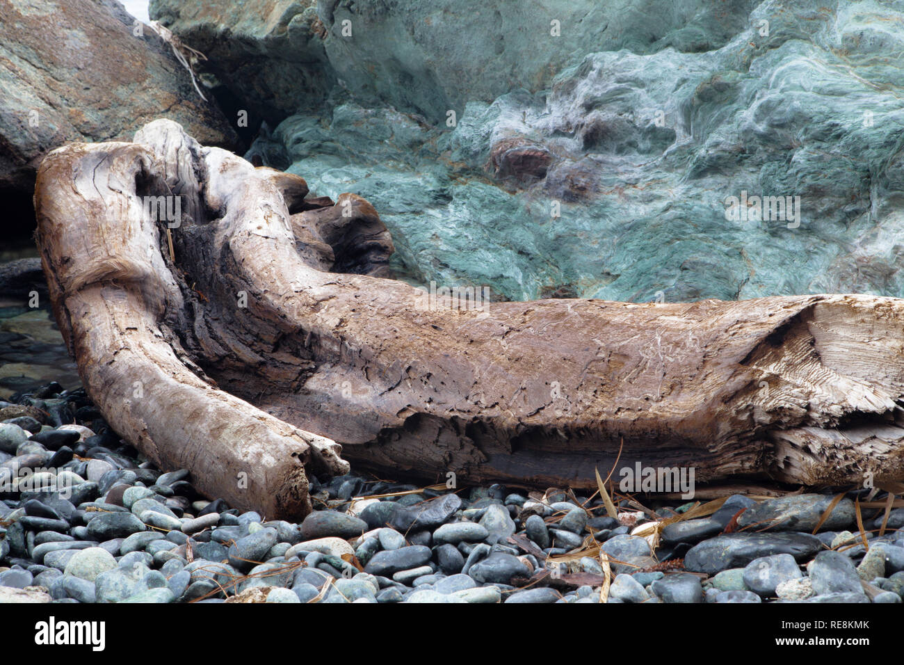 Photo of old log washed up on the beach Stock Photo - Alamy