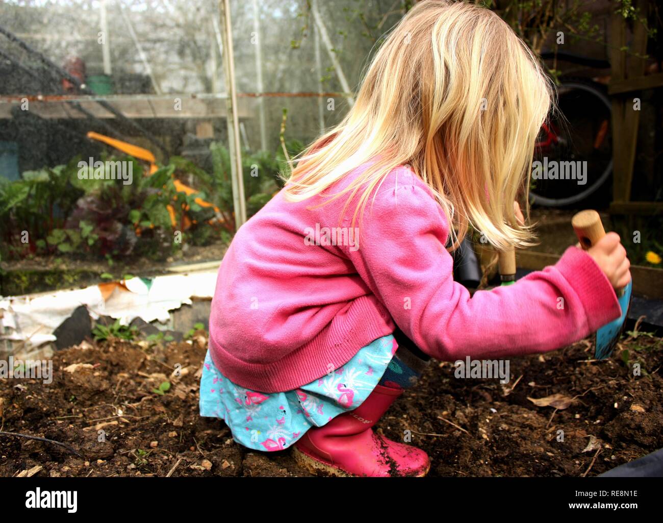 Girl child digging and gardening Stock Photo - Alamy