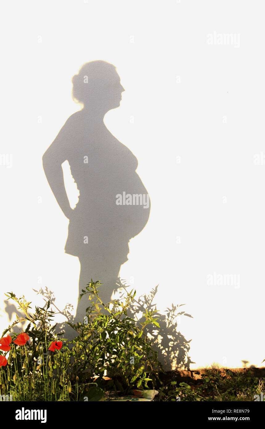 Bump into wall hi-res stock photography and images - Alamy