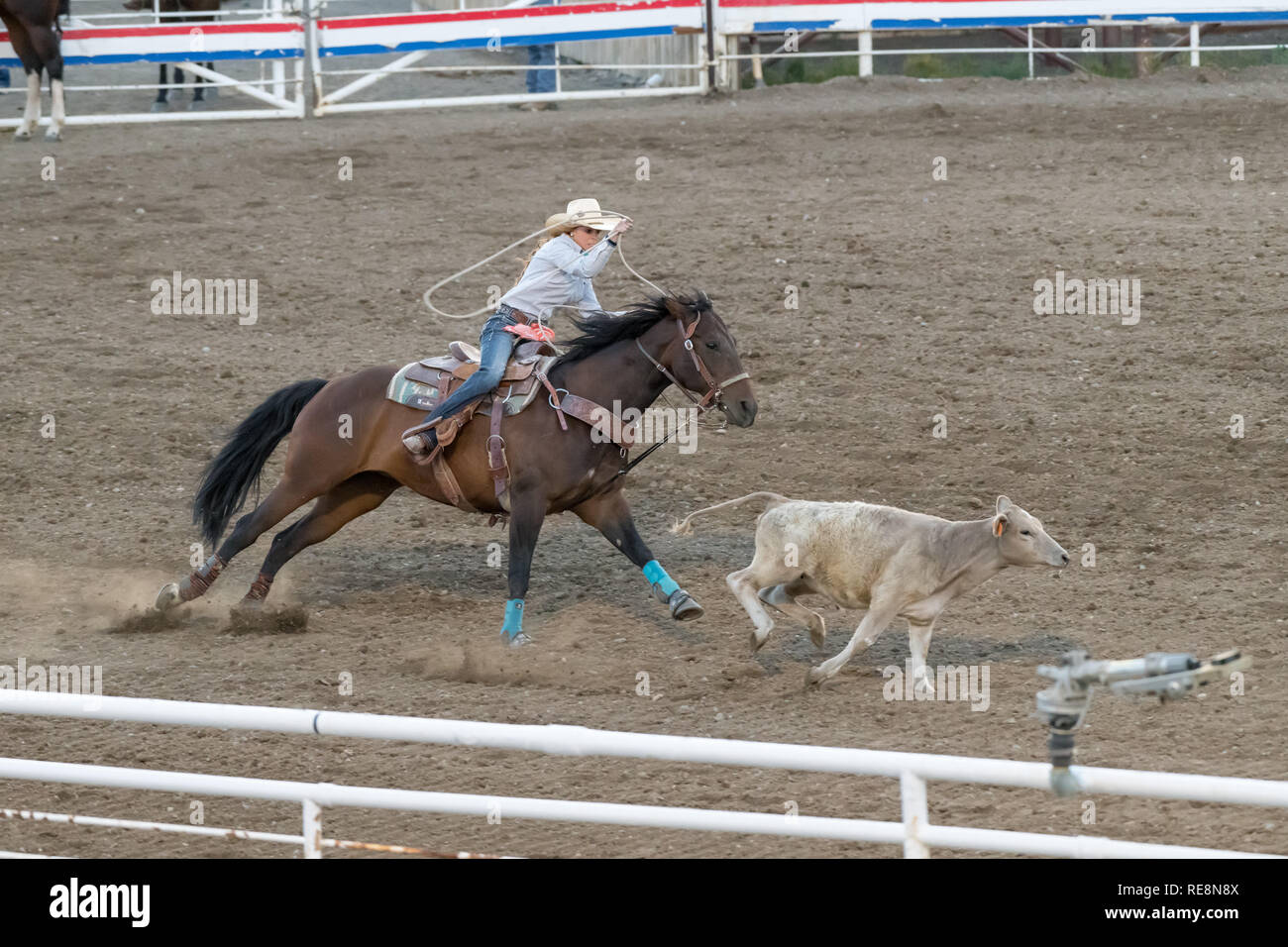 CODY, WYOMING - JUNE 29, 2018: Cody Stampede Park arena. Cody is the ...