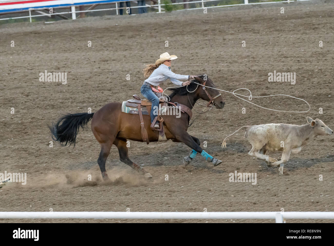 Cody stampede rodeo hi-res stock photography and images - Alamy