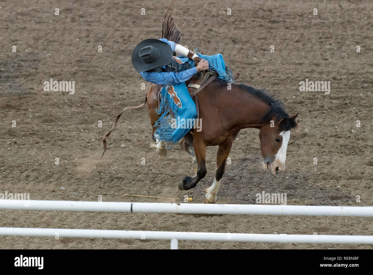 CODY, WYOMING - JUNE 29, 2018: Cody Stampede Park arena. Cody is the ...