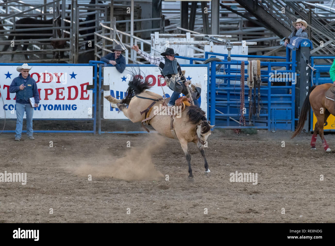Cody nite rodeo hi-res stock photography and images - Alamy
