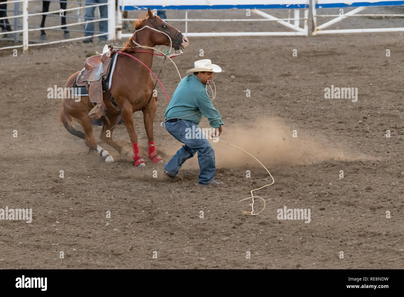 CODY, WYOMING - JUNE 29, 2018: Cody Stampede Park arena. Cody is the ...