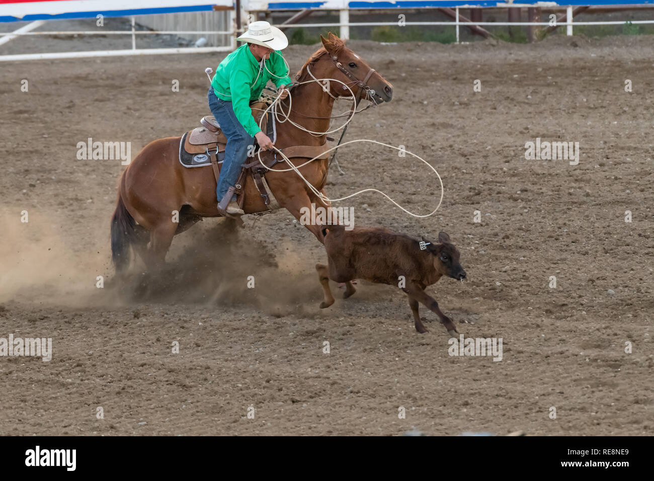 CODY, WYOMING - JUNE 29, 2018: Cody Stampede Park arena. Cody is the ...