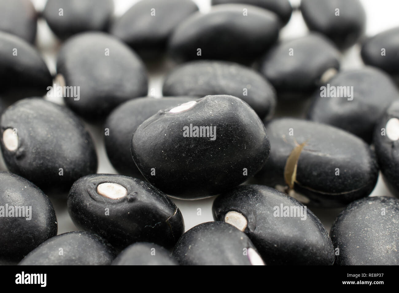 Black Turtle Bean Close-Up Stock Photo - Alamy