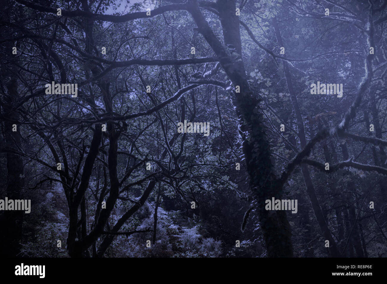 Moonlit landscape with tree hi-res stock photography and images - Alamy