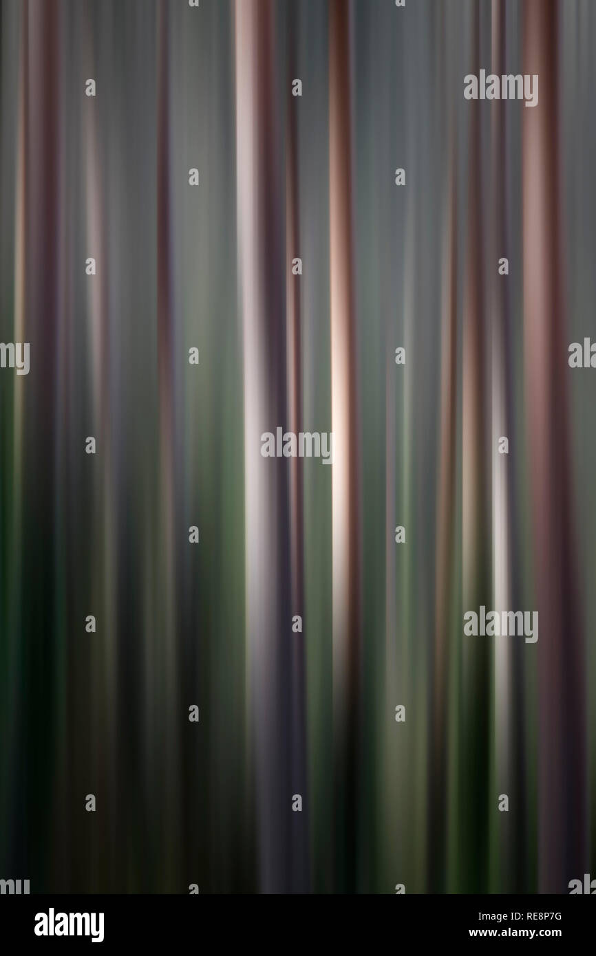 Blurred dark magic forest background Stock Photo - Alamy