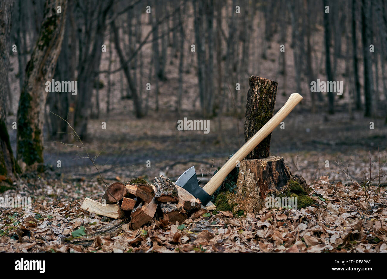 axe is at the tree Stock Photo - Alamy
