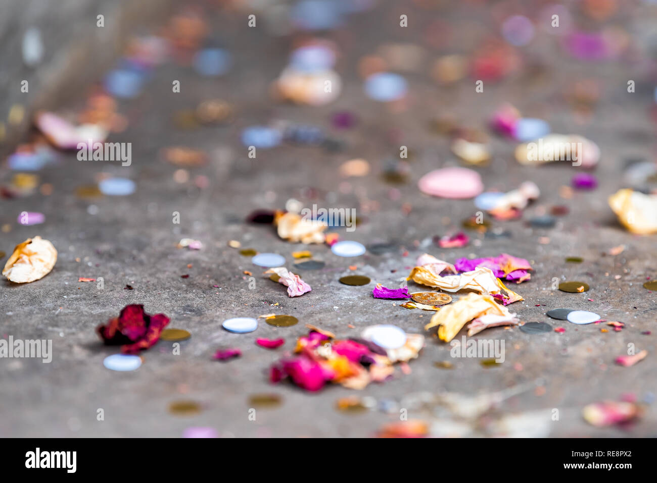 Pavement flower background hi-res stock photography and images - Alamy
