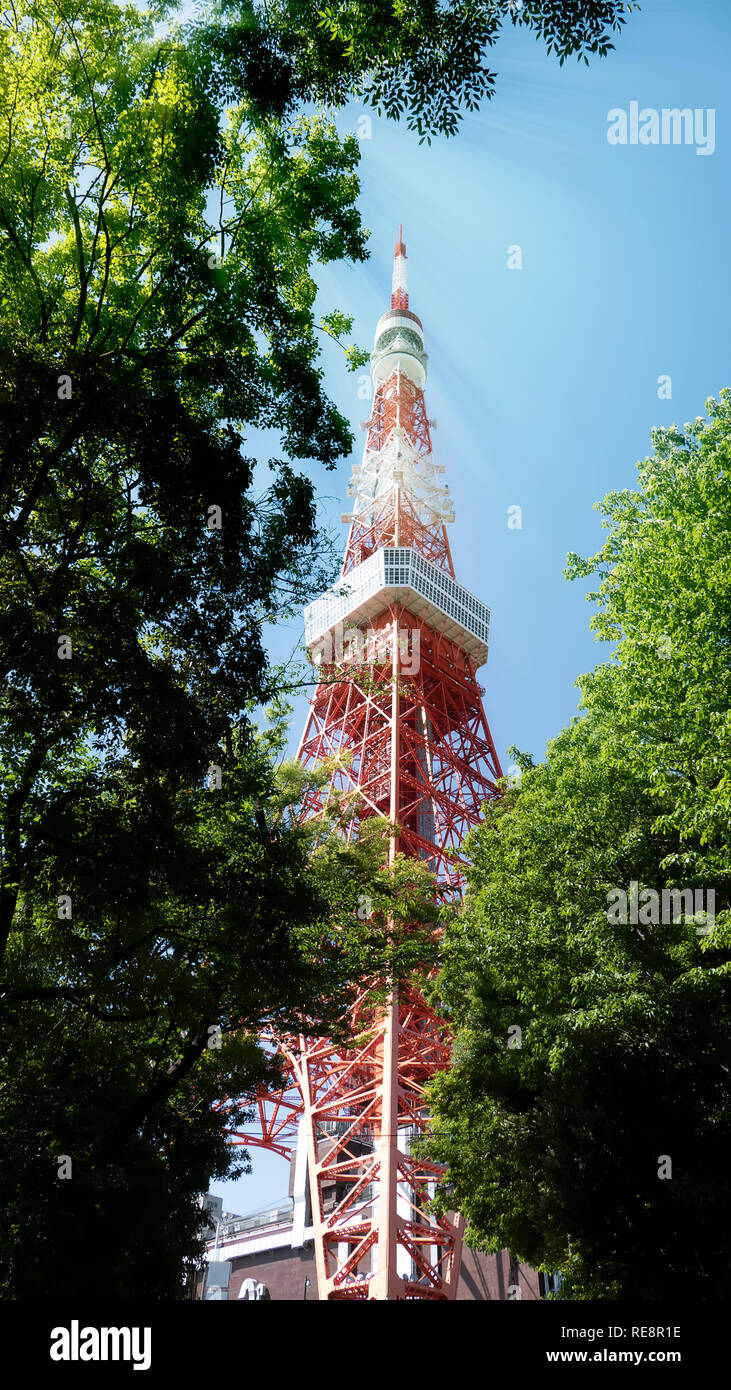 The nice view of Tokyo Tower in Tokyo, Japan Stock Photo - Alamy