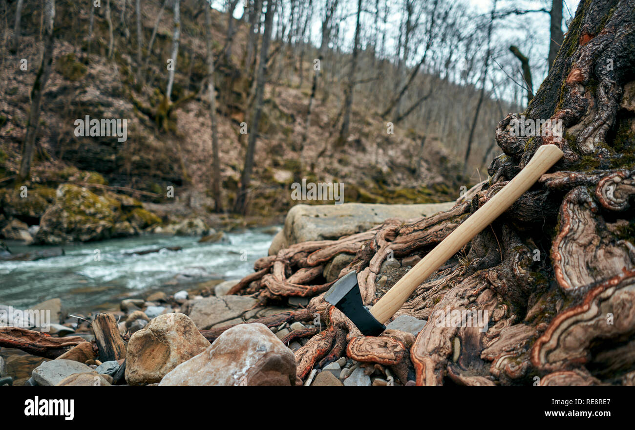 Man chopping tree with axe hi-res stock photography and images - Alamy