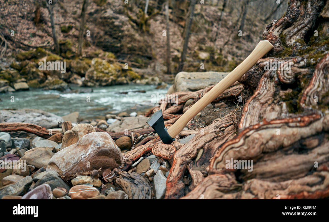 axe is at the tree Stock Photo - Alamy