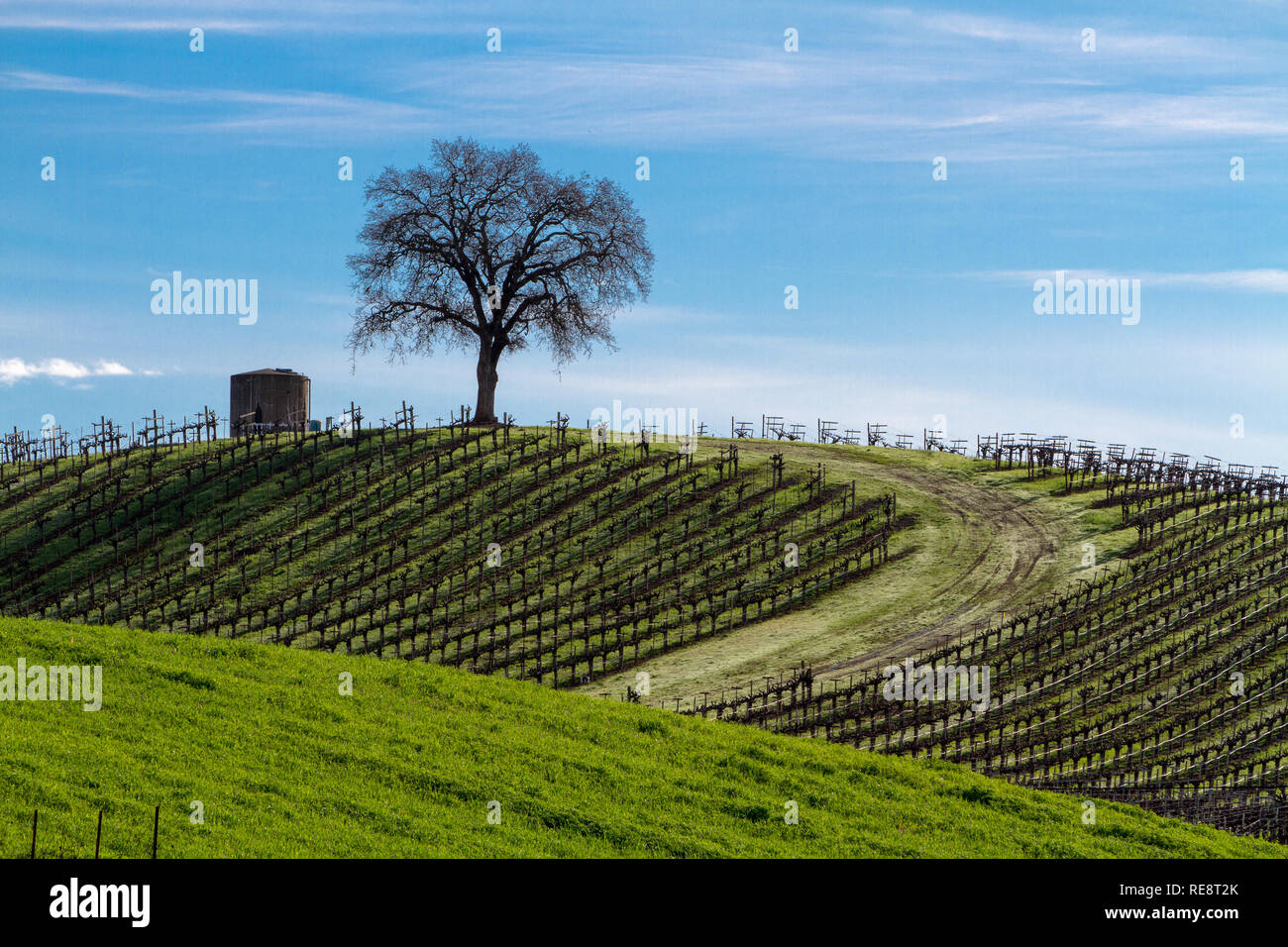 Silo of tree hi-res stock photography and images - Alamy
