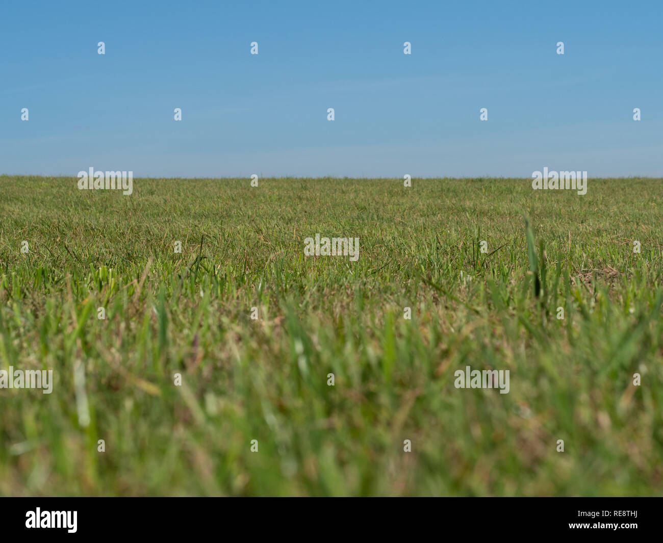 Grassland plain hi-res stock photography and images - Alamy