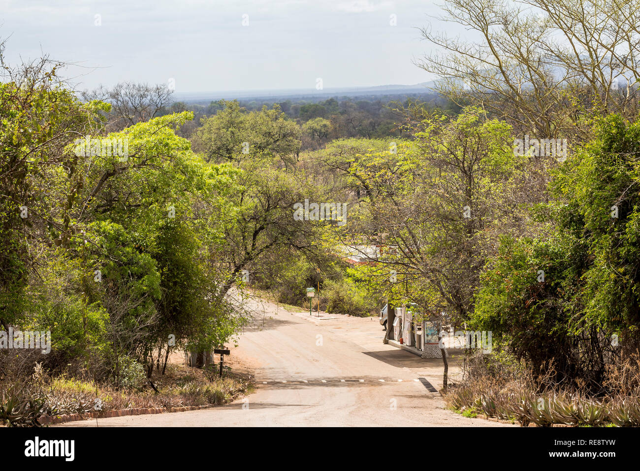 Punda Maria Rest Camp, Kruger Park Stock Photo - Alamy