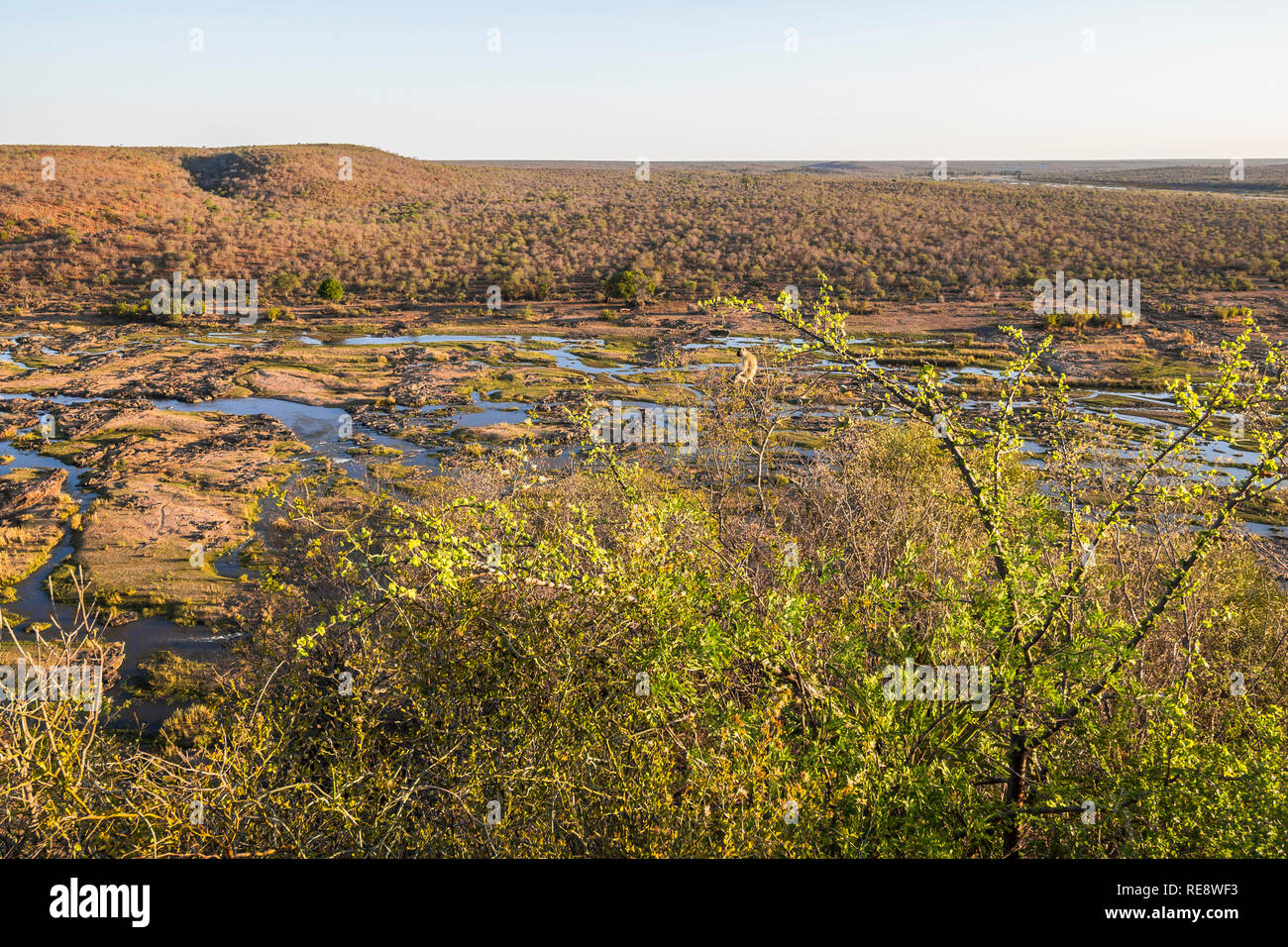 Lepelle hi-res stock photography and images - Alamy