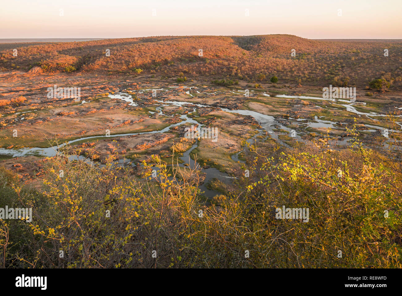 Lepelle hi-res stock photography and images - Alamy