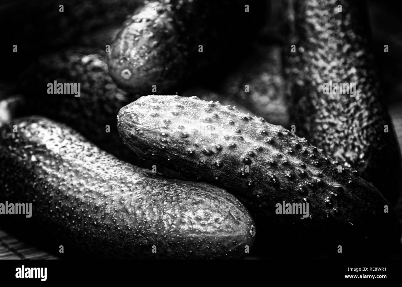 Cucumbers cucumis sativus Black and White Stock Photos & Images - Alamy