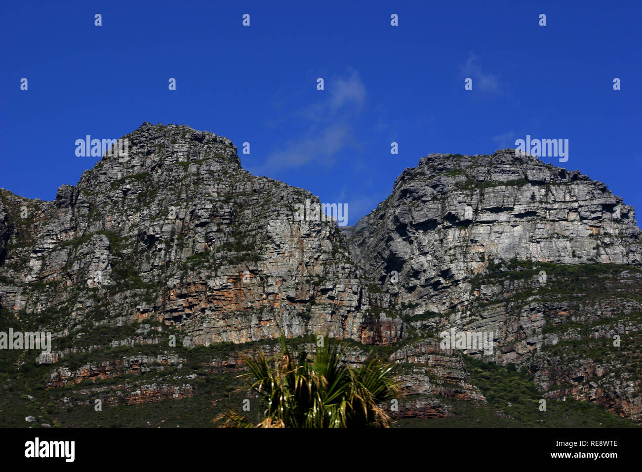 Table Mountain Western Cape Stock Photo - Alamy