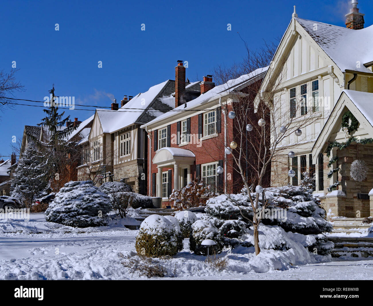 suburban street on a sunny winter day with bushes covered by snow Stock ...