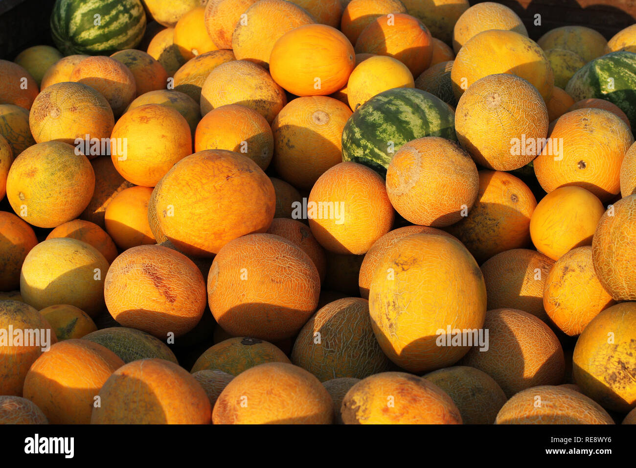 Bunch of melons hi-res stock photography and images - Alamy