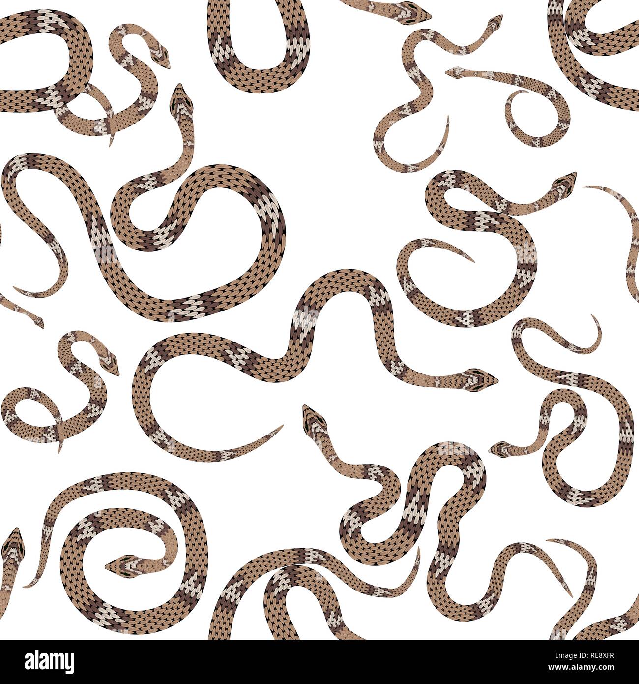 Beautiful seamless pattern with snakes on white. Vector illustration ...